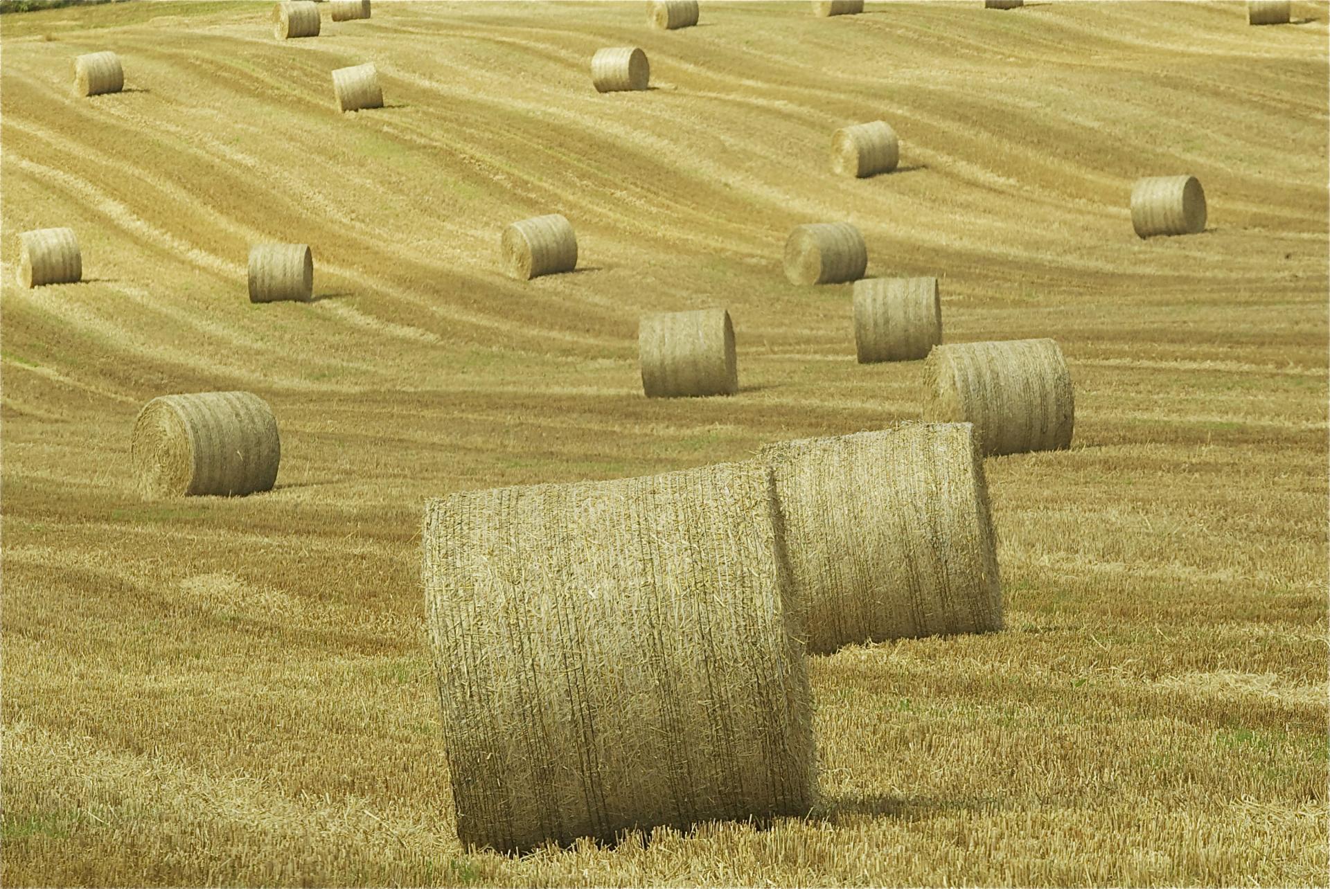 UK straw merchant appoints administrators