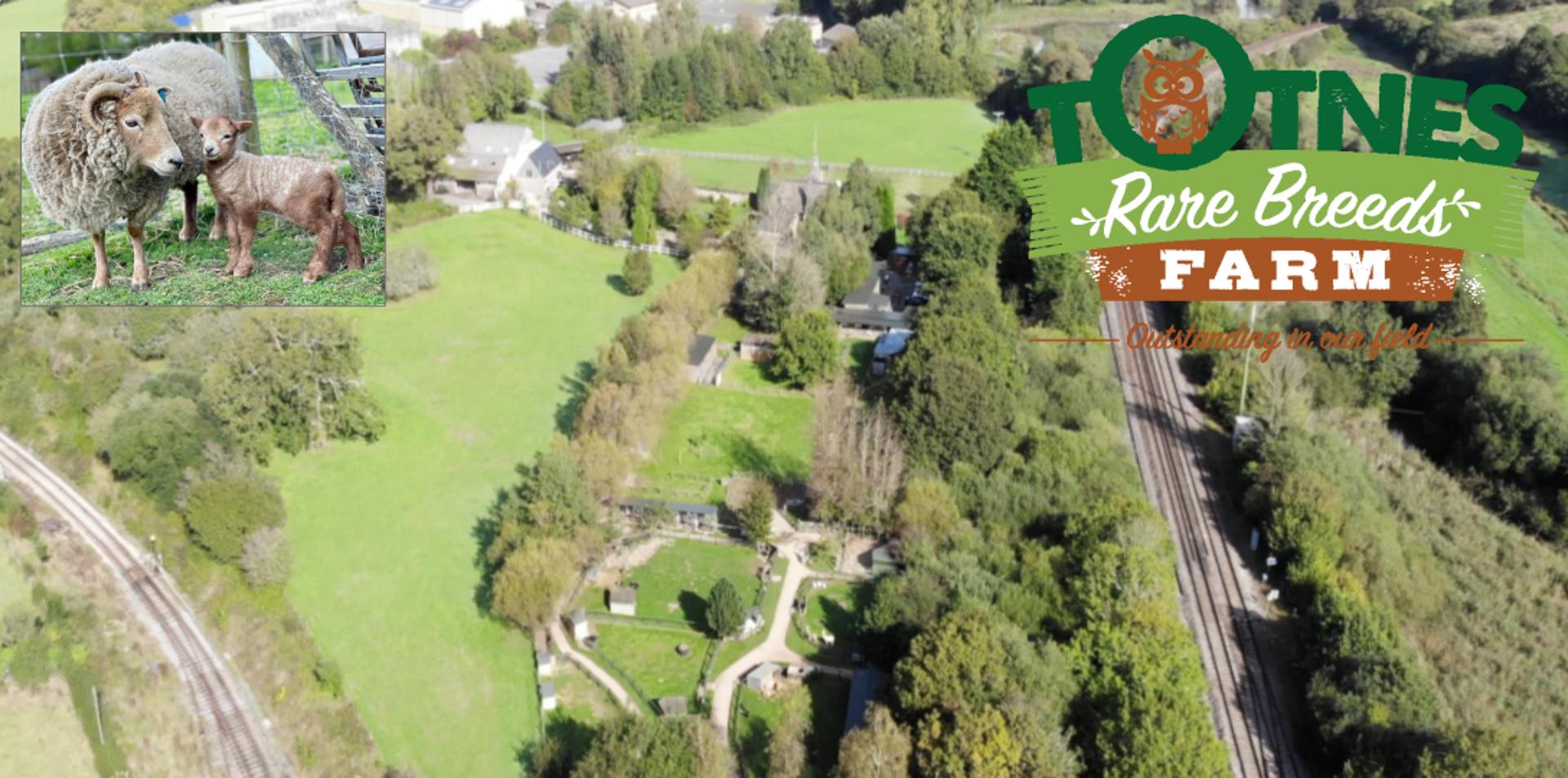 South Devon rare breeds farm on the market for £700k