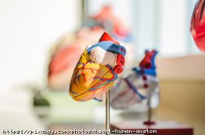 Boston Scientific launches new insertable cardiac monitor - Kirkham Young