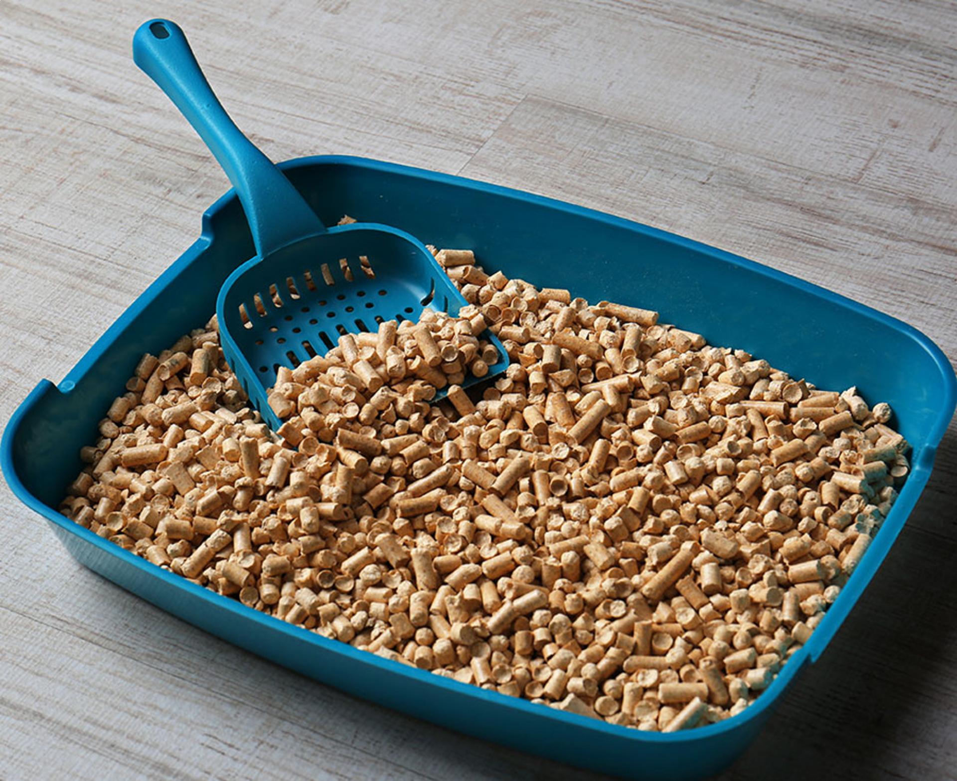 Administrators hope to find buyer for wood pellets firm