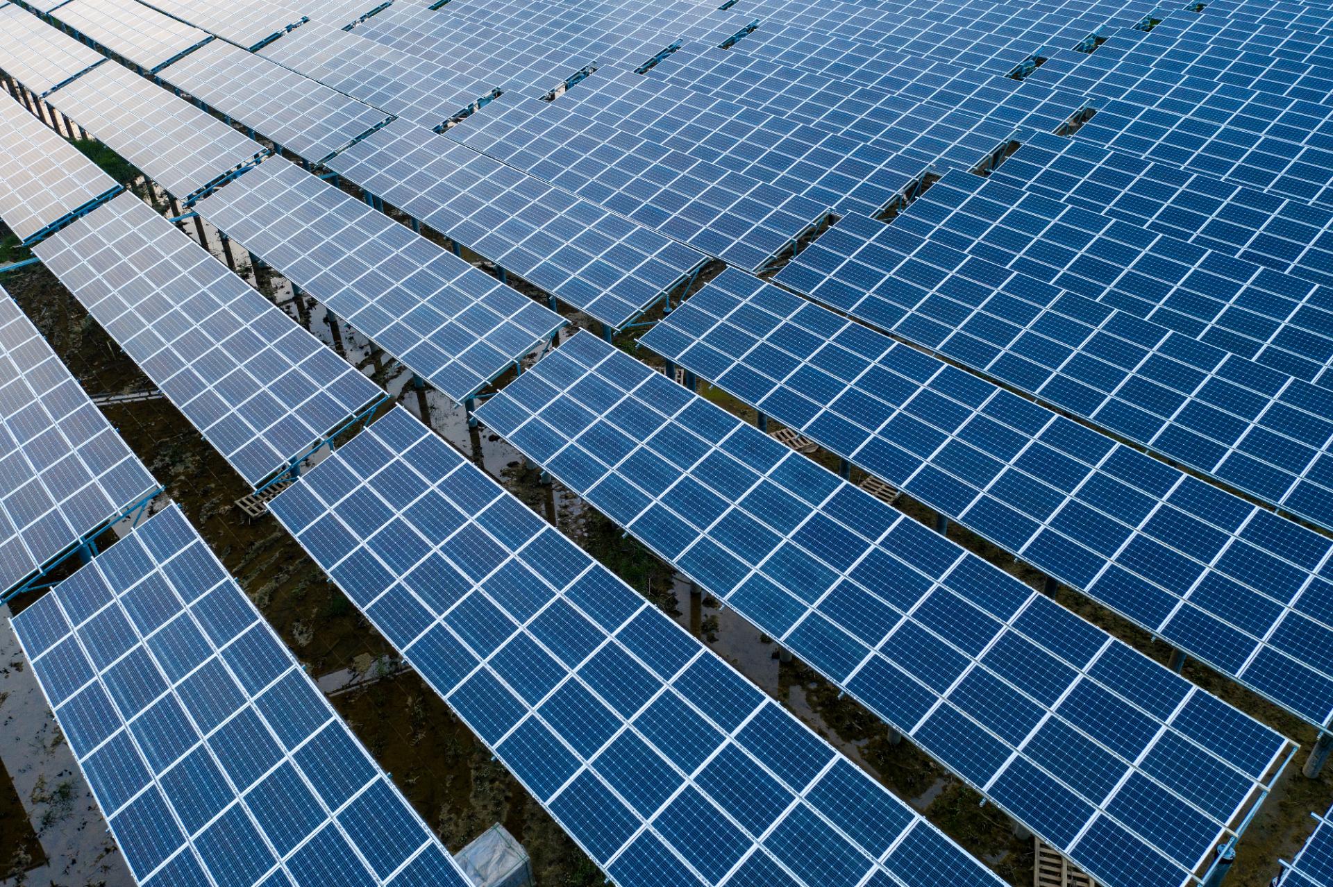 DCC Energy makes five acquisitions to support lower-carbon strategy