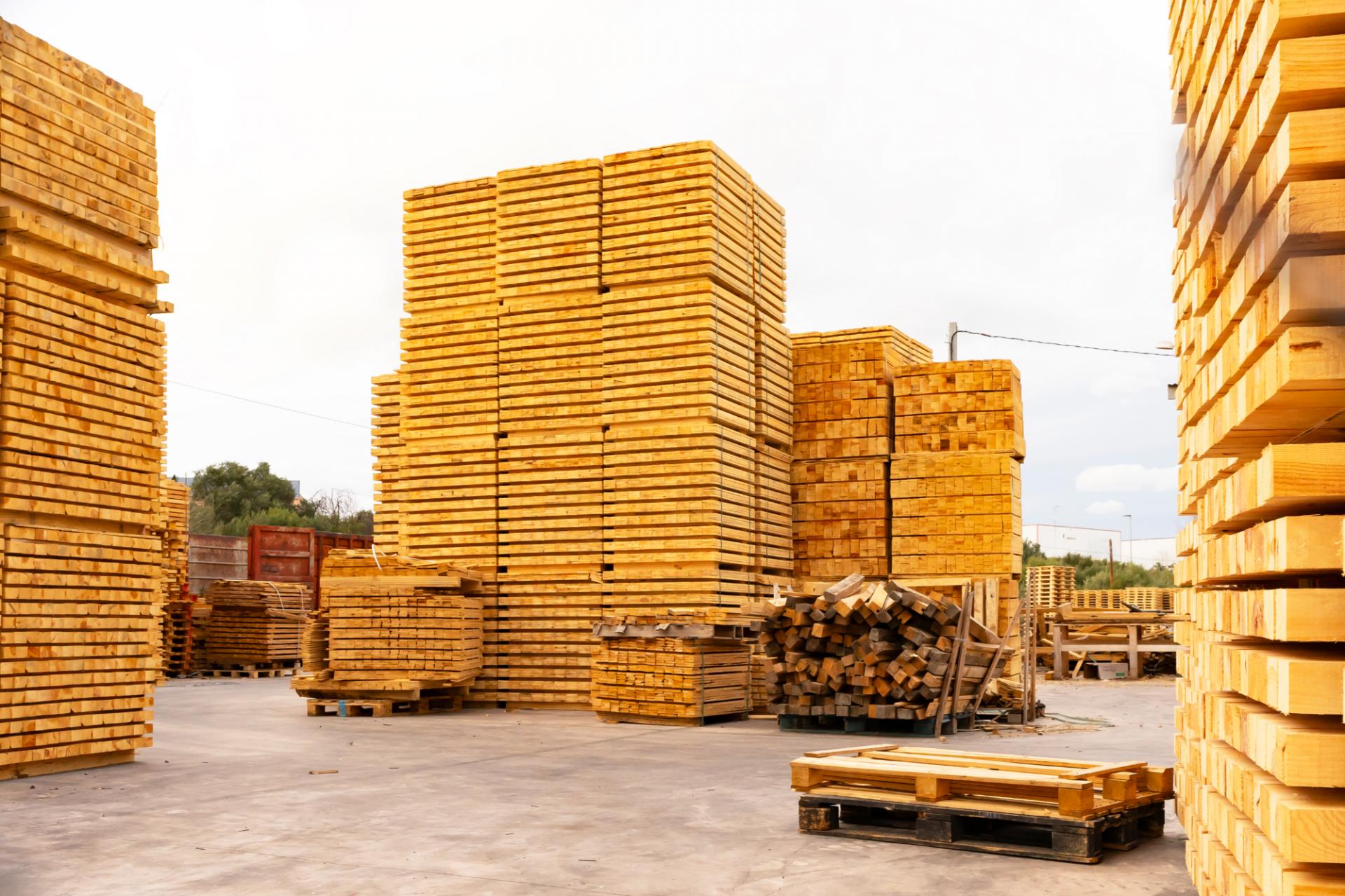 Administrators launch sale of timber group’s business and assets