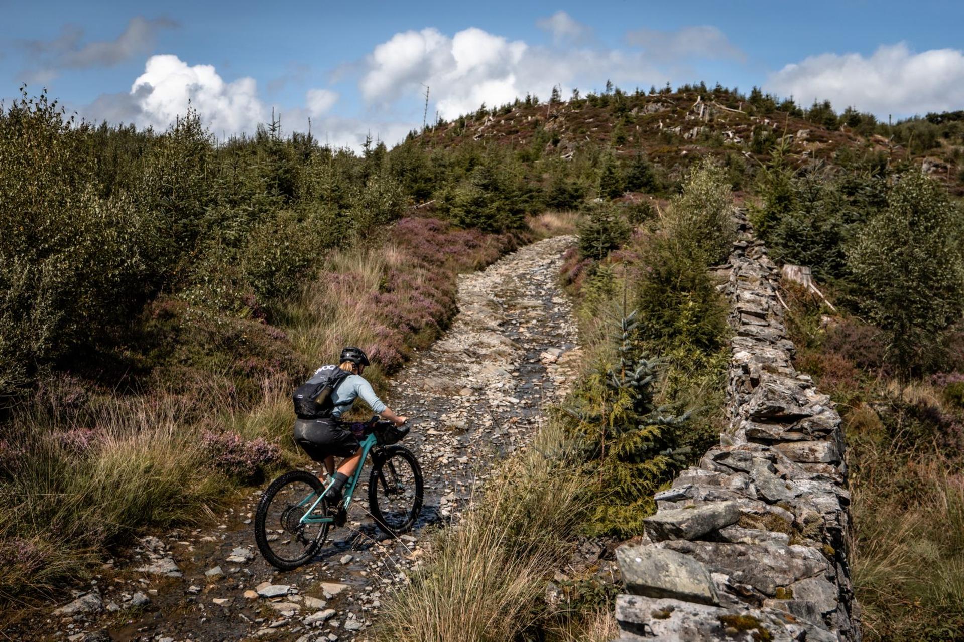 London bicycle insurance firm acquires Buckinghamshire counterpart